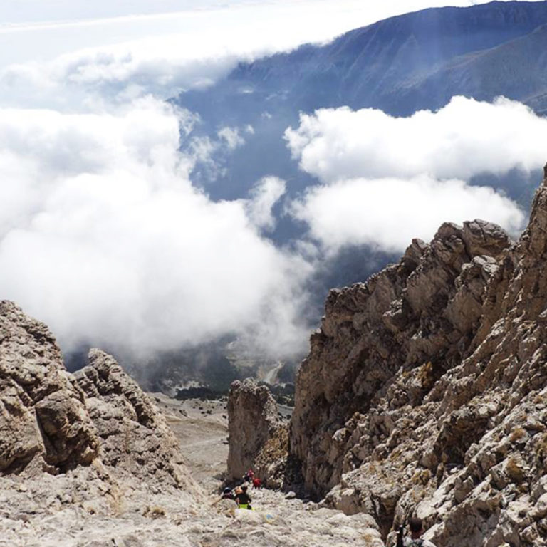 Drumetii Montane - GoExplore