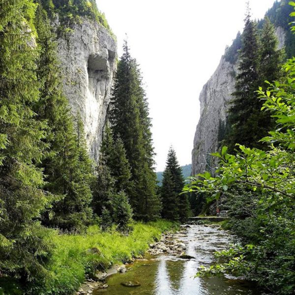 Muntenia - GoExplore